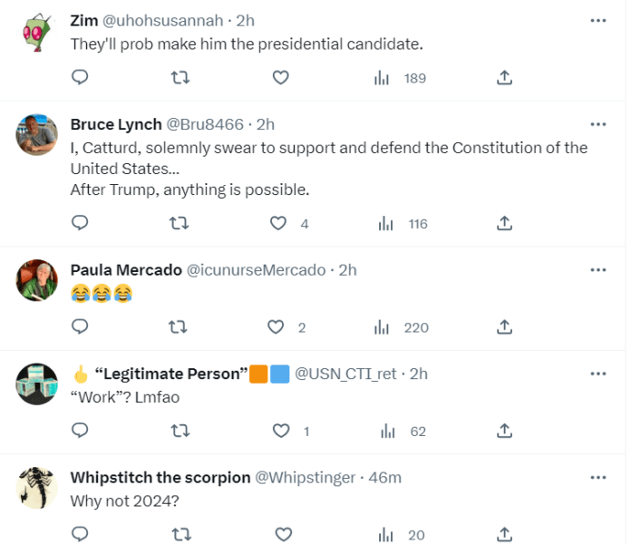 Mike Lee Asks Catturd If He's Running For Prez In 2028. Not A Parody ...